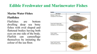 Edible fresh and saltwater fishes.pptxhb | PPTX