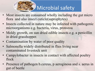 Edible insects | PPTX