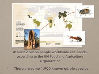 Edible insects | PDF