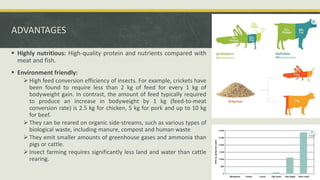 EDIBLE INSECTS IN NUTRITION.pptx