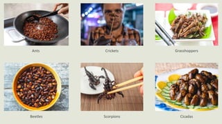 EDIBLE INSECTS IN NUTRITION.pptx