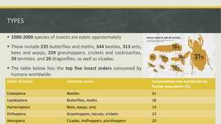 EDIBLE INSECTS IN NUTRITION.pptx