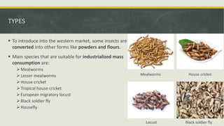 EDIBLE INSECTS IN NUTRITION.pptx