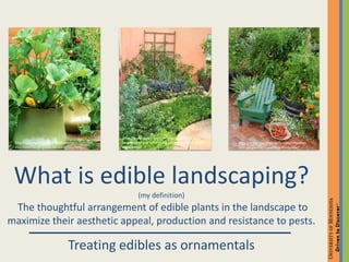 Edible Landscaping | PPTX