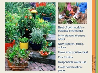 Edible Landscaping | PPTX