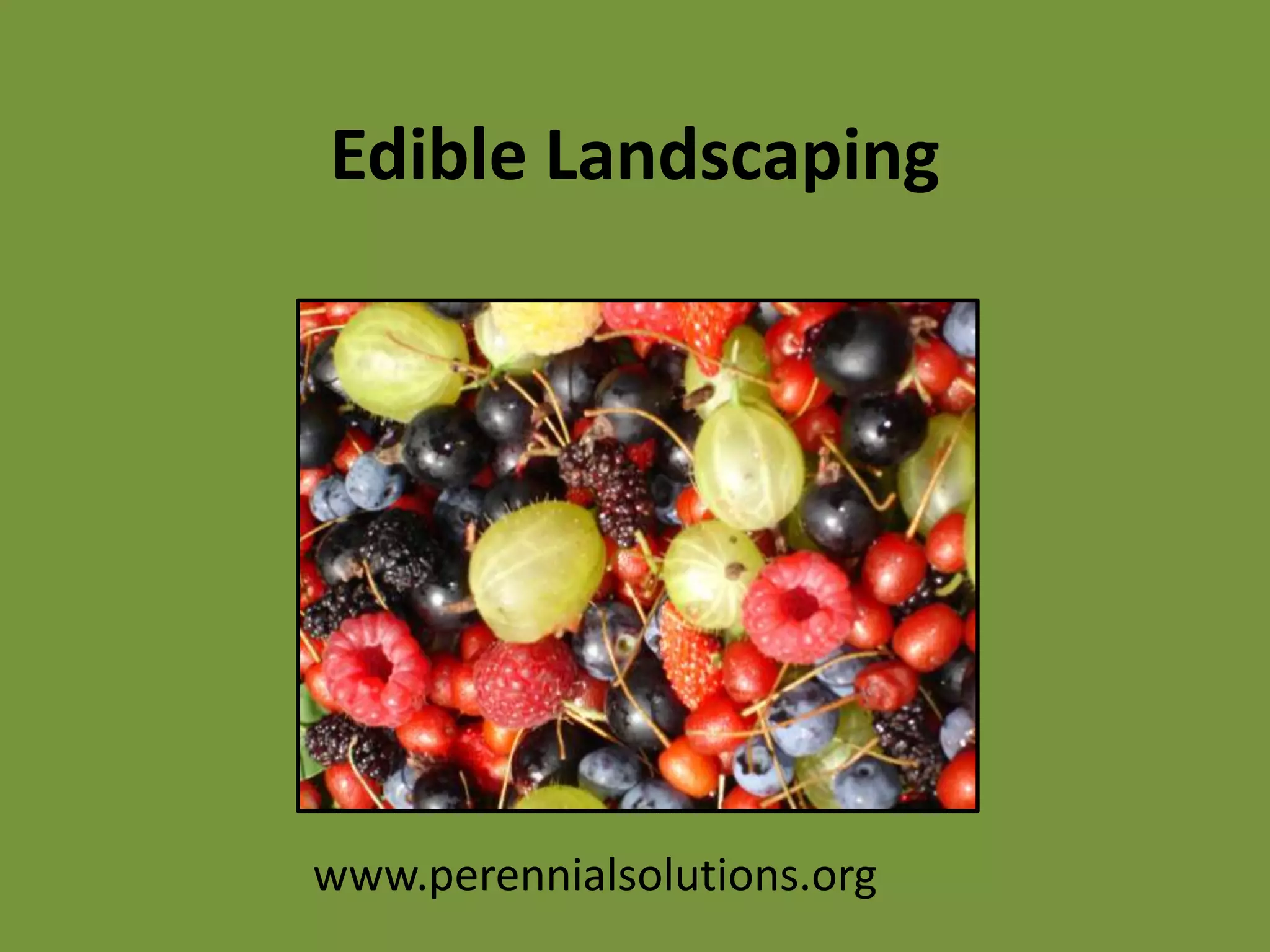 Edible landscaping | PPTX