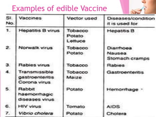 Edible Vaccine | PPTX