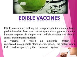 Edible Vaccine | PPTX