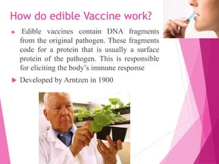 Edible Vaccine | PPTX