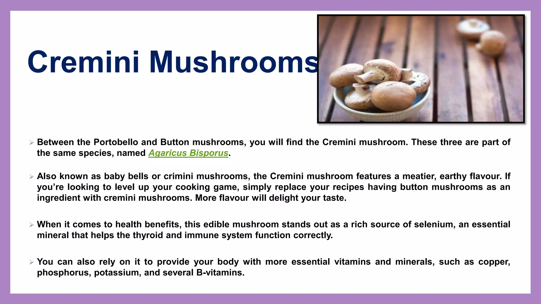 Edible mushrooms | PPTX