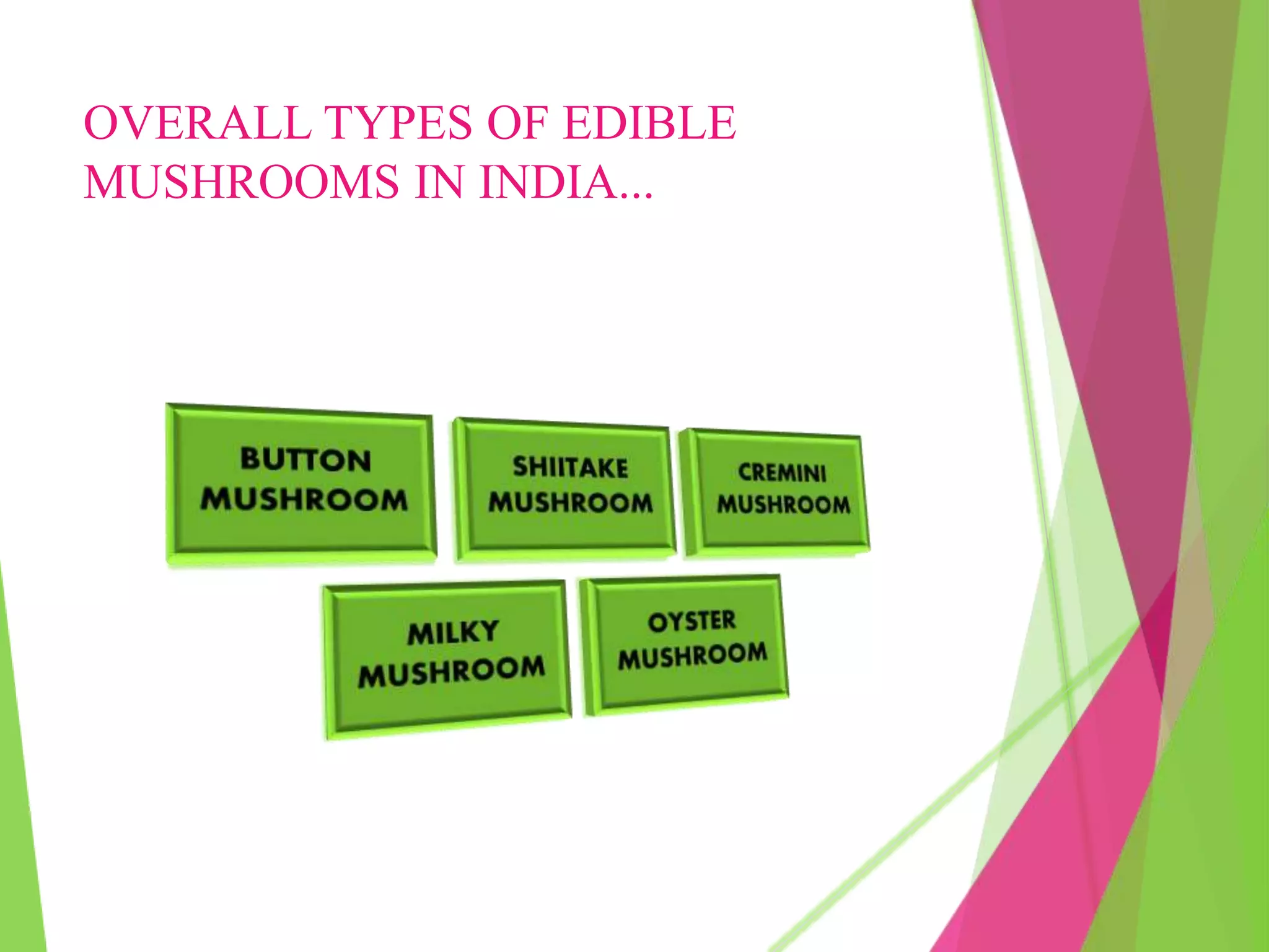 Edible mushrooms in india. | PPTX