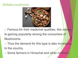 Edible mushrooms in india. | PPTX