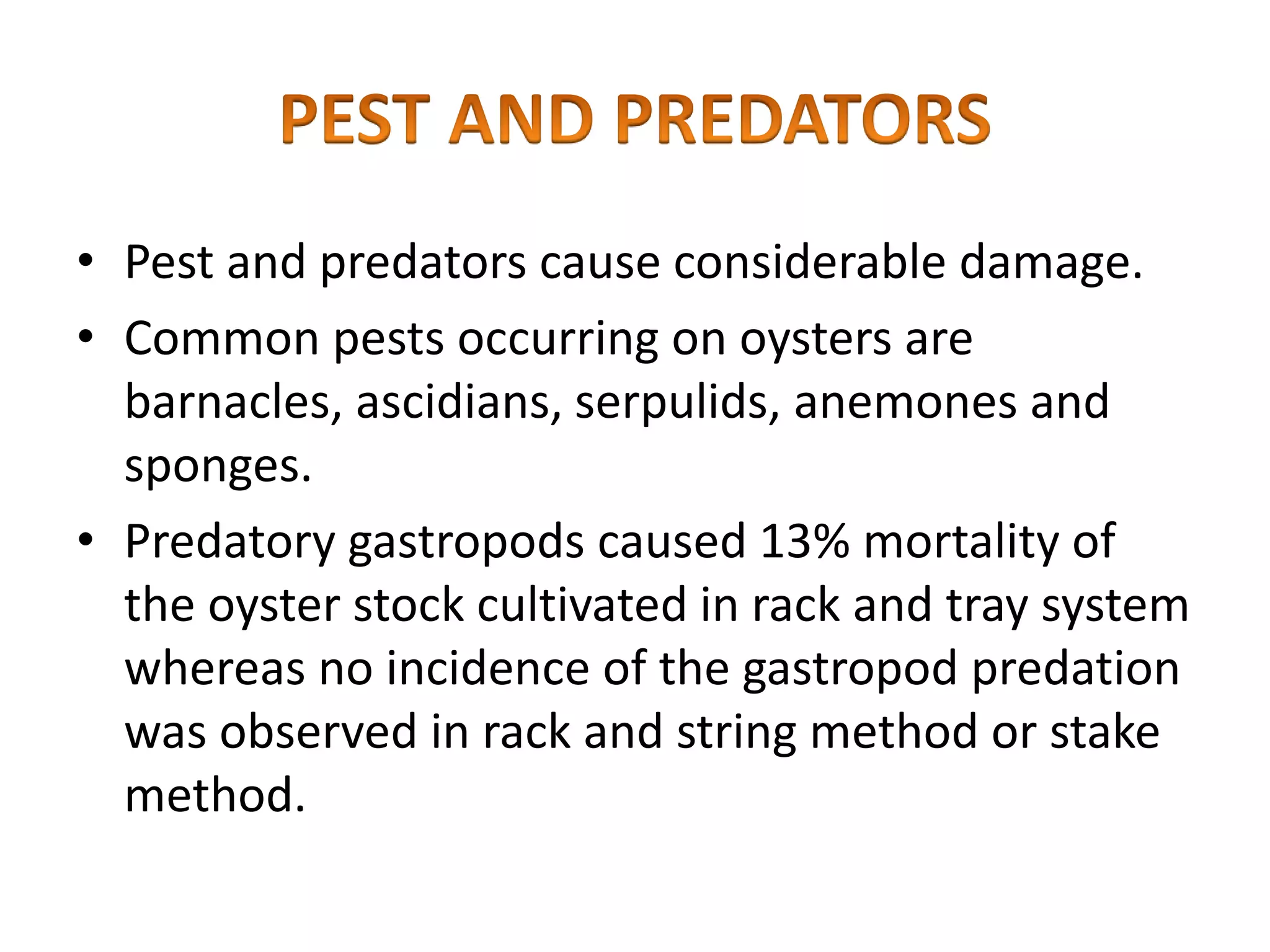 Edible Oyster Culture | PPTX