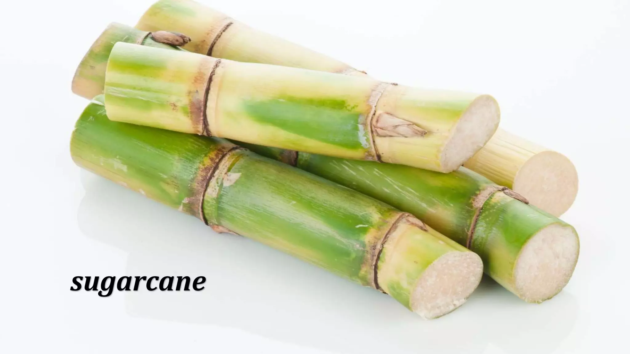 Edible parts of the plant | PPTX