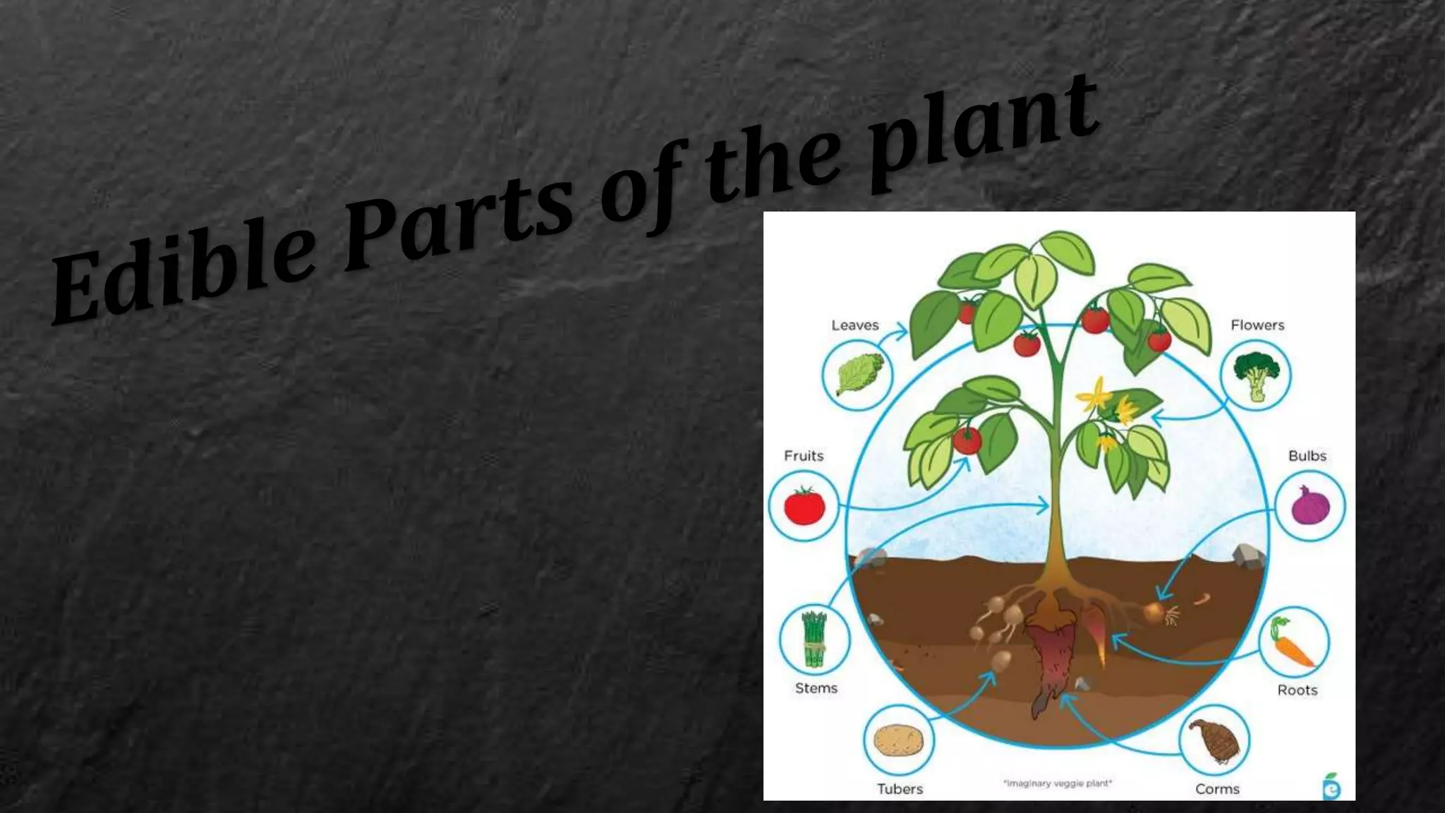 Edible parts of the plant | PPTX