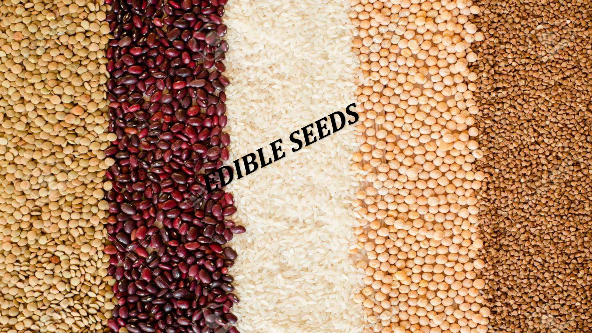 Edible parts of the plant | PPTX