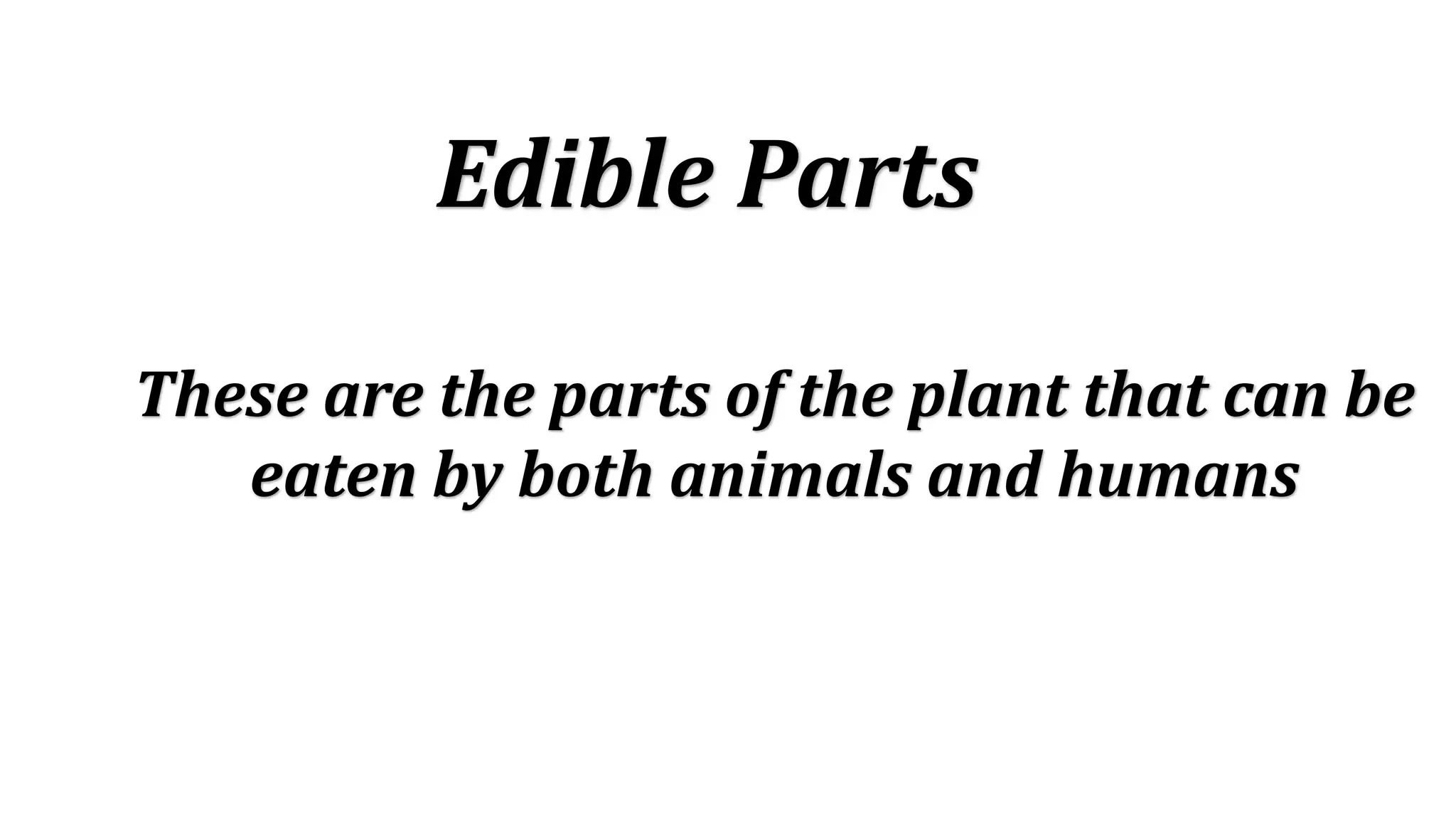 Edible parts of the plant | PPTX