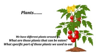 Edible parts of the plant | PPTX
