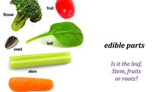 Edible parts of the plant | PPTX