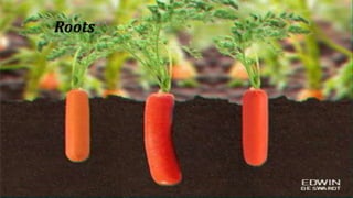 Edible parts of the plant | PPTX