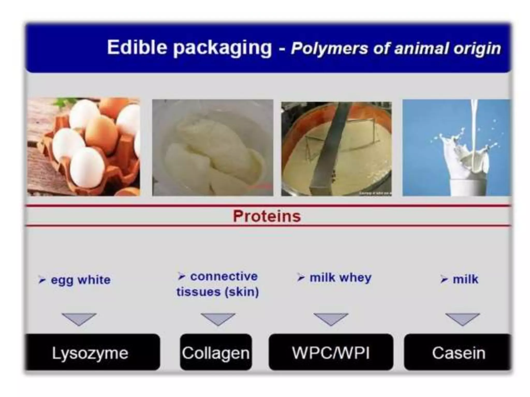 Edible protein based packaging | PPTX