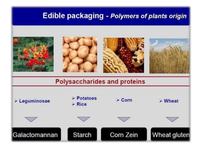 Edible protein based packaging | PPTX