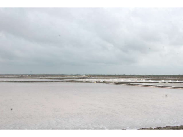 Edible Salt Division – Vedasaltworks | PPTX