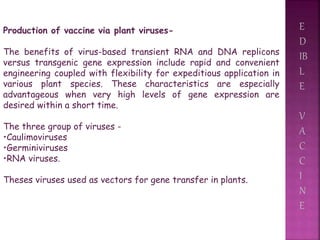 Edible vaccine | PPT