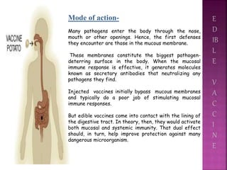 Edible vaccine | PPT