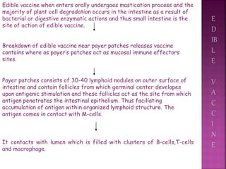 Edible vaccine | PPT