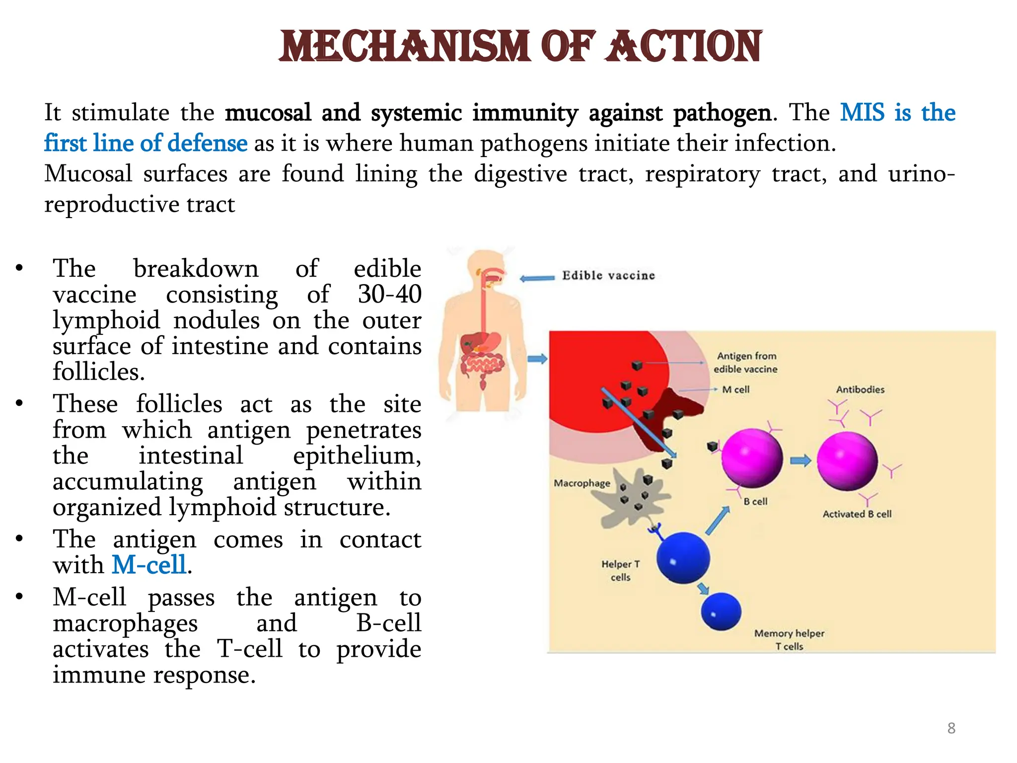 Overview on Edible Vaccine: Pros & Cons with Mechanism | PDF