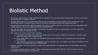 Edible vaccine production through genetic engineering.pptx