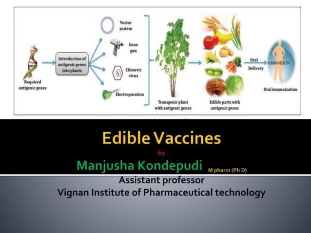 Edible vaccines | PPTX | Genetics | Science