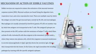 EDIBLE VACCINES PRESENTATION.pptx