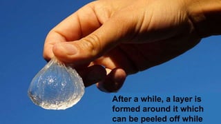 Edible water bottle | PPTX