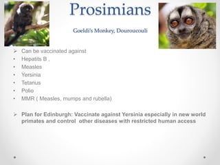 Edinburgh zoo presentation | PPTX