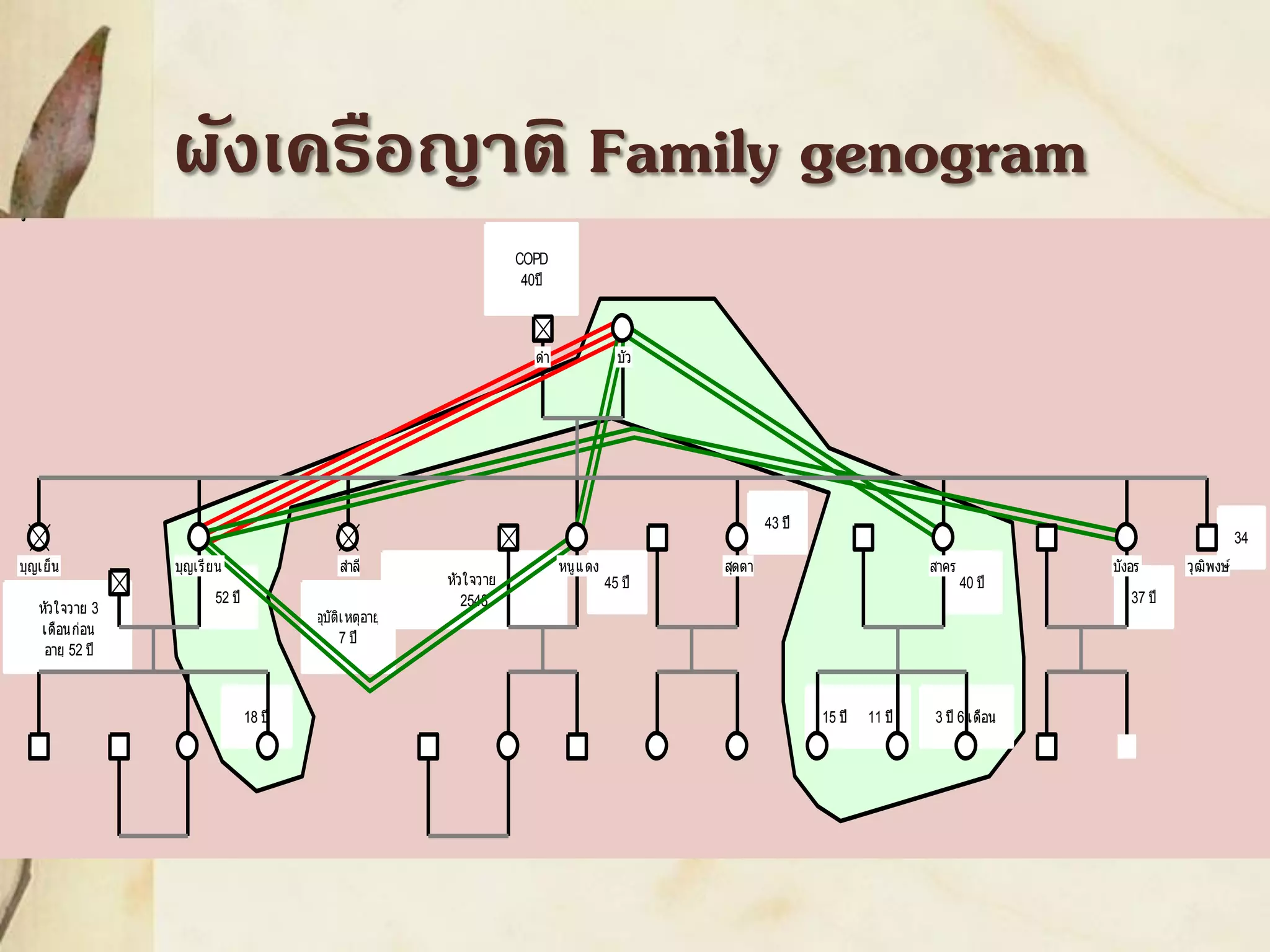 ดูแลด้วยศรัทธา Edit รัชฎาพร 16 ก.พ. 54 | PDF