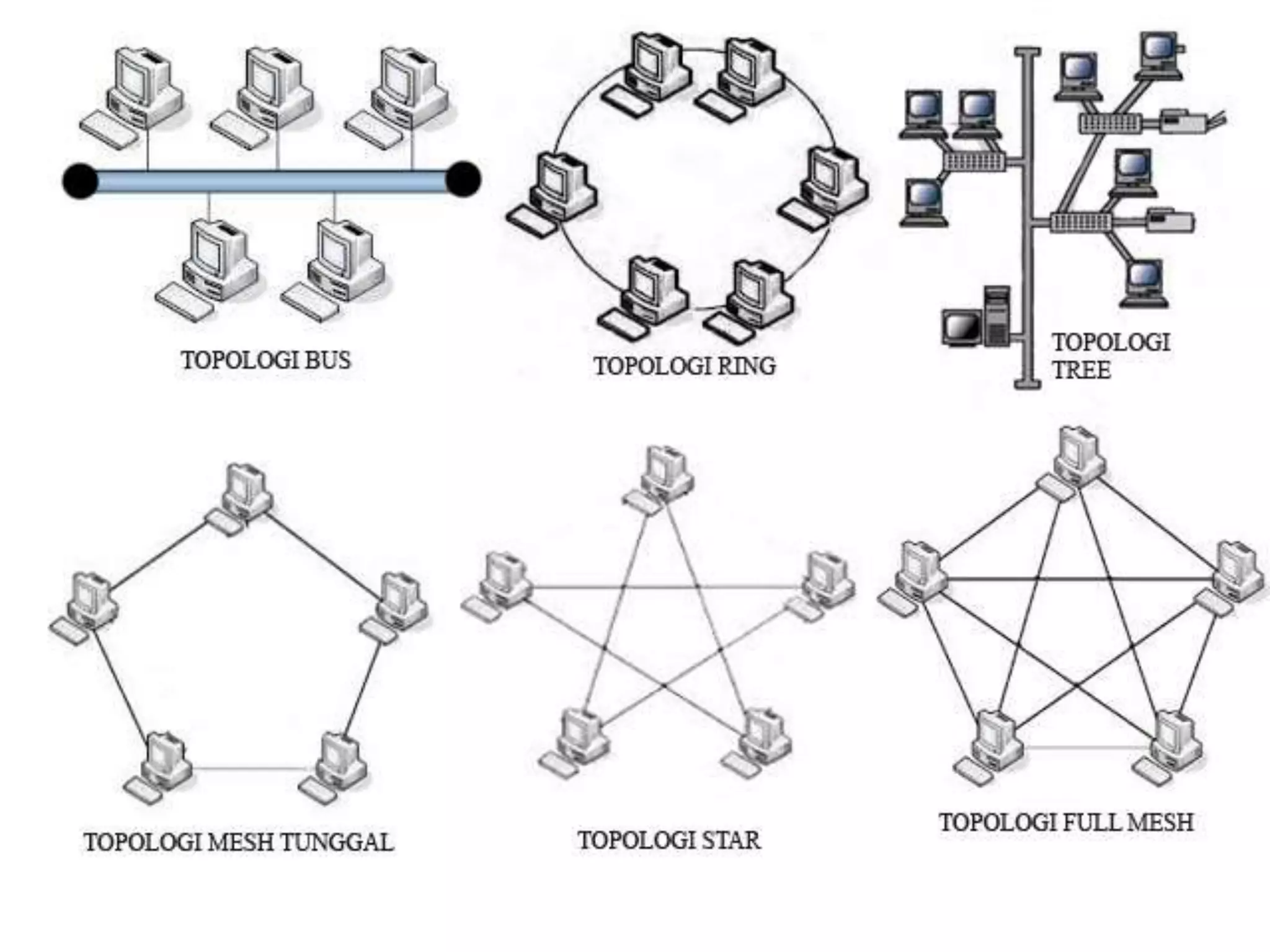 topologi jaringan | PPTX