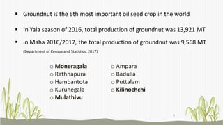ground nut cultivation in sri lanka | PPTX