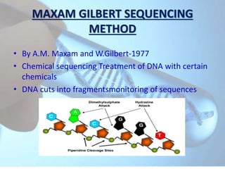NUCLEOTIDE SEQUENCING | PPTX