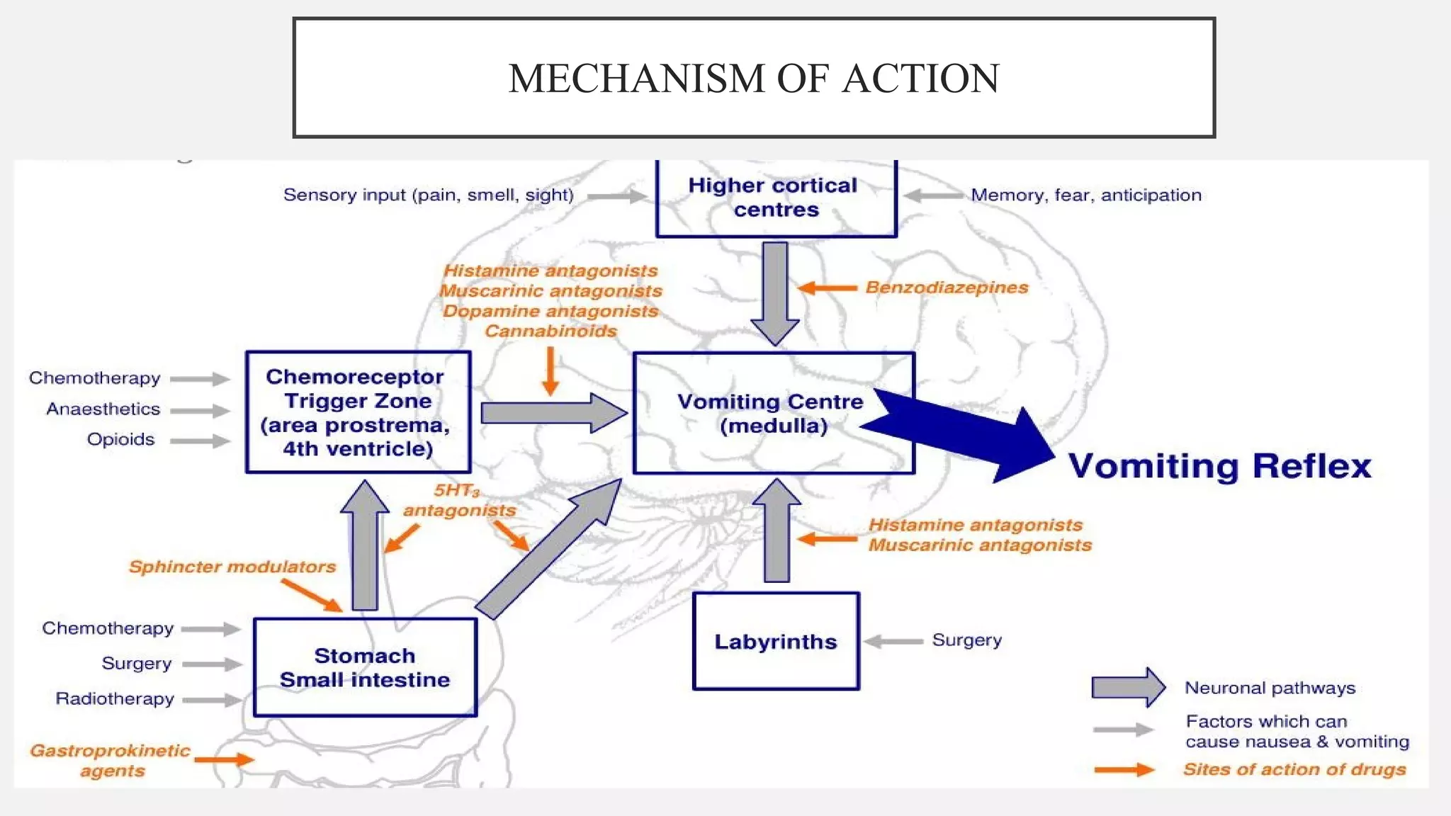 Emetics and Anti-emetics (Pharmacology III) | PPT
