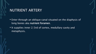 Blood Supply of Long Bone and Osteomyelitis by Aakash Pandit | PPTX