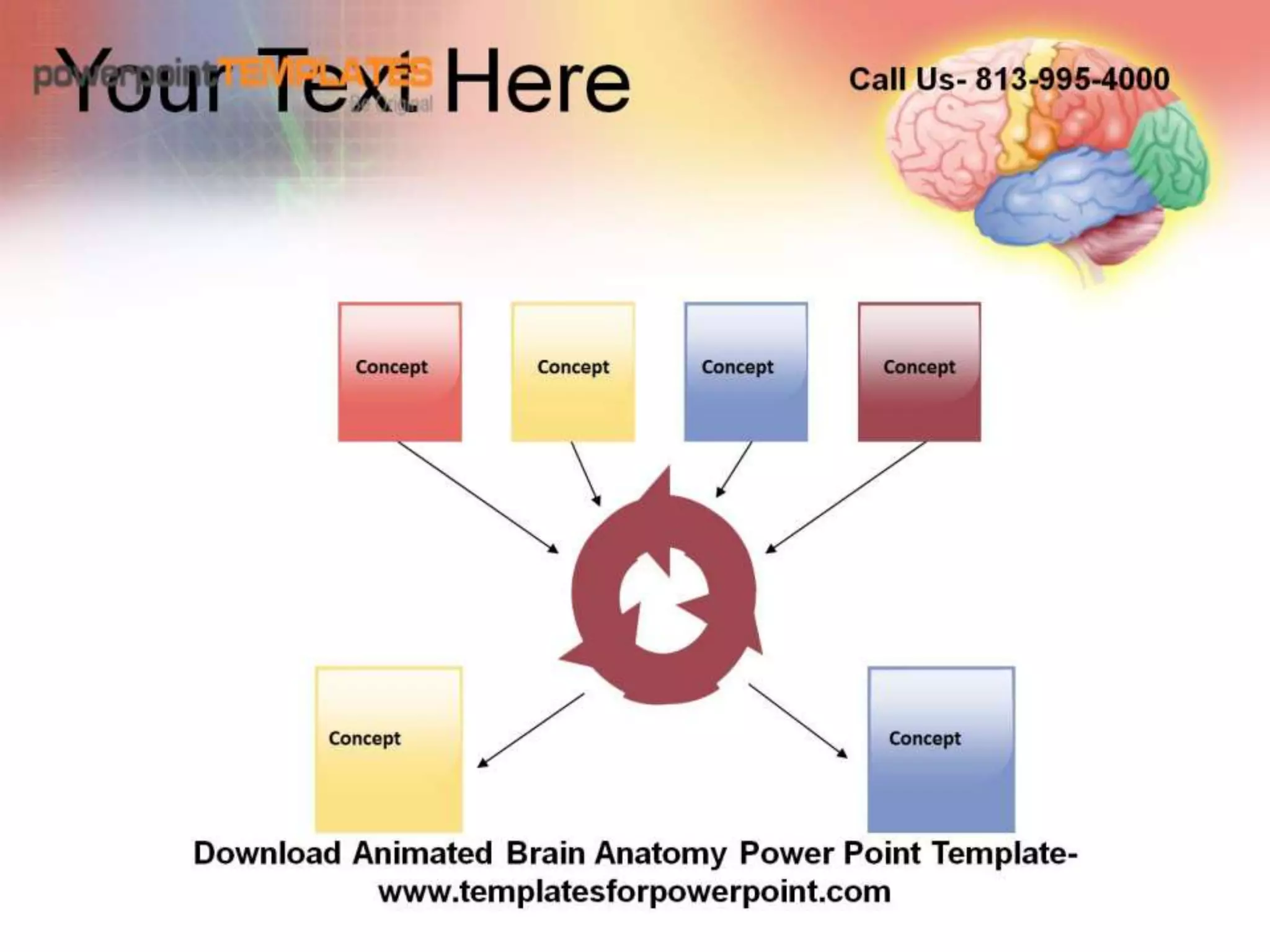 Editable animated brain anatomy powerpoint template | PPTX