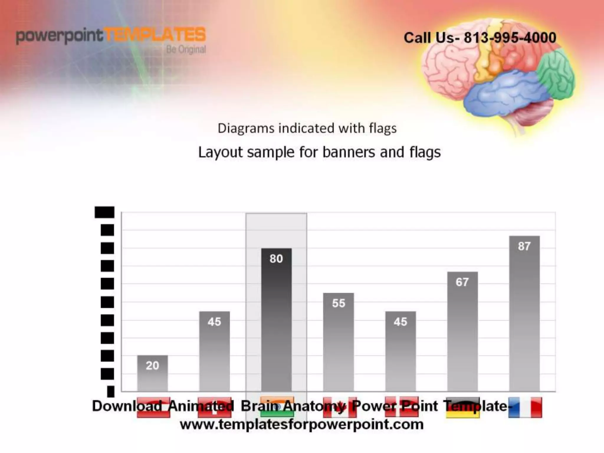 Editable animated brain anatomy powerpoint template | PPTX