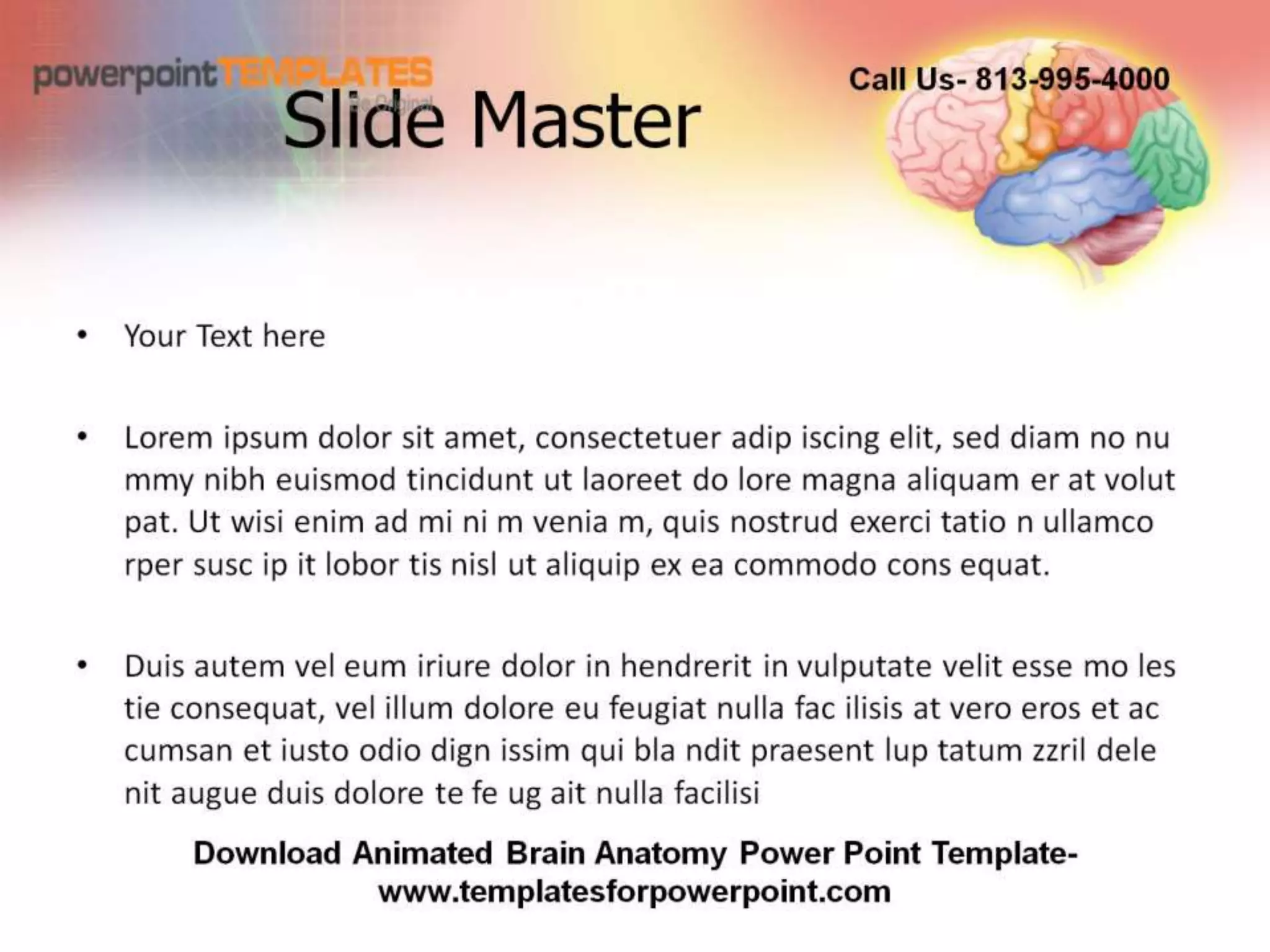 Editable animated brain anatomy powerpoint template | PPTX