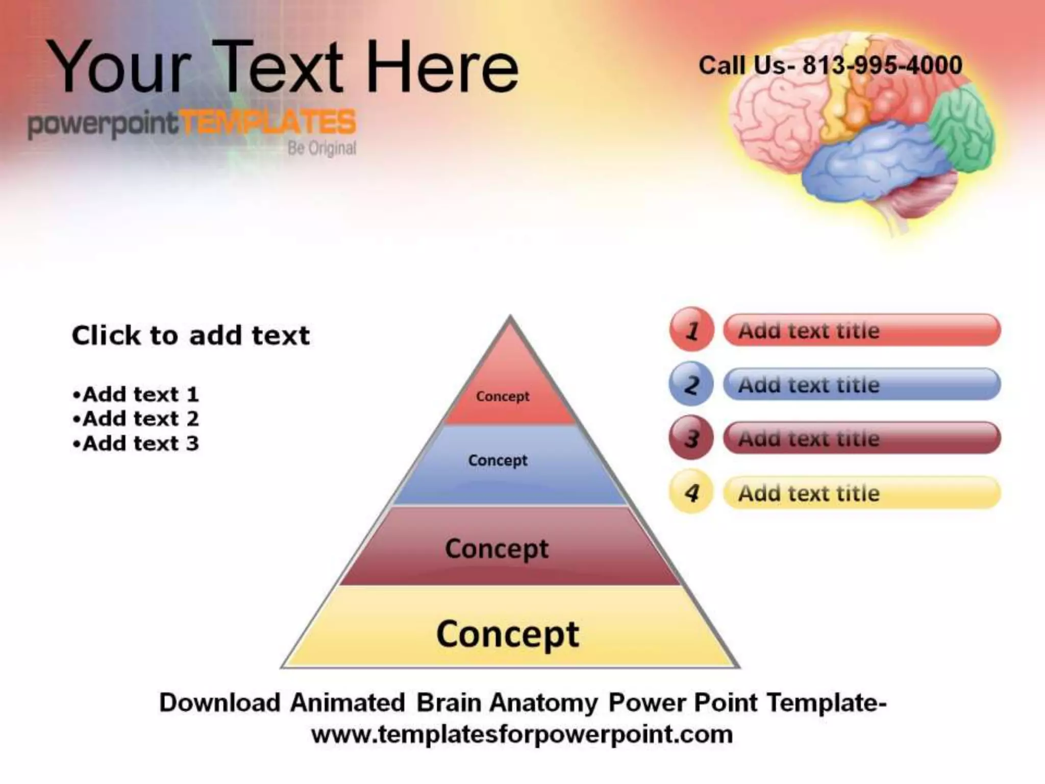Editable animated brain anatomy powerpoint template | PPTX