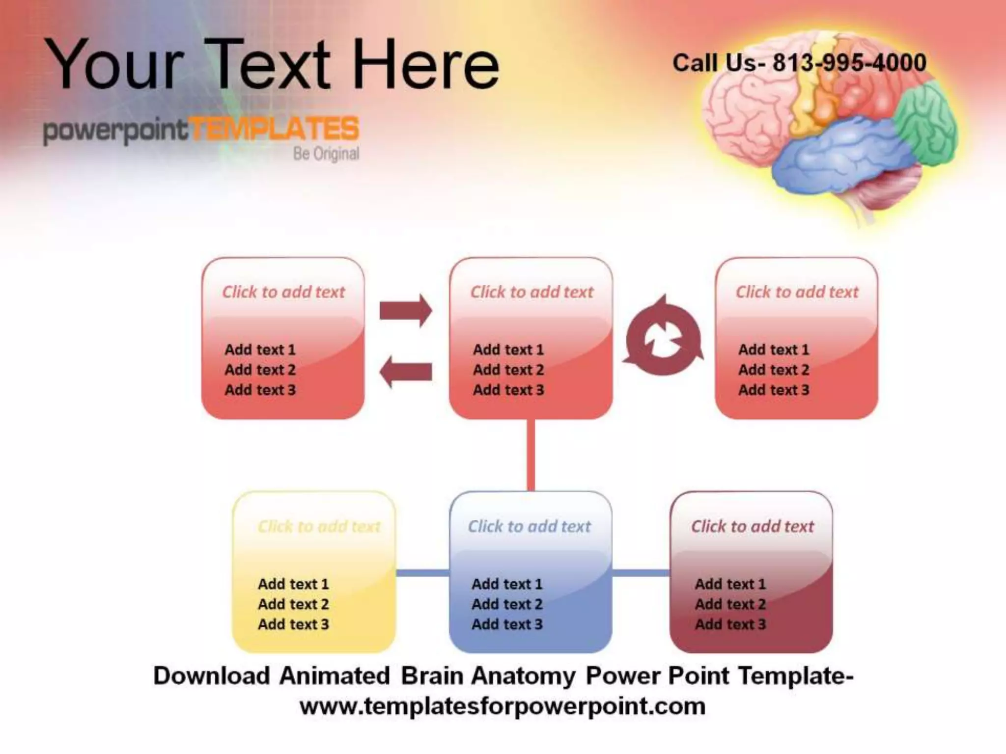 Editable animated brain anatomy powerpoint template | PPTX