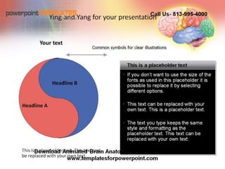 Editable animated brain anatomy powerpoint template | PPTX