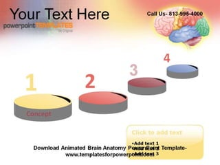 Editable animated brain anatomy powerpoint template | PPTX