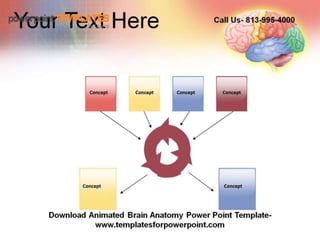Editable animated brain anatomy powerpoint template | PPTX